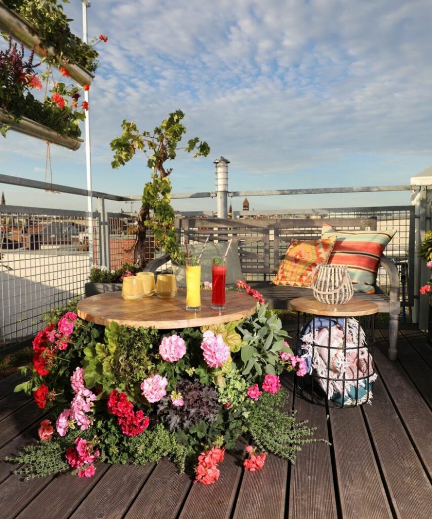 6 famose Ideen für blühende DIY-Möbel mit Geranien – Pflege und ...